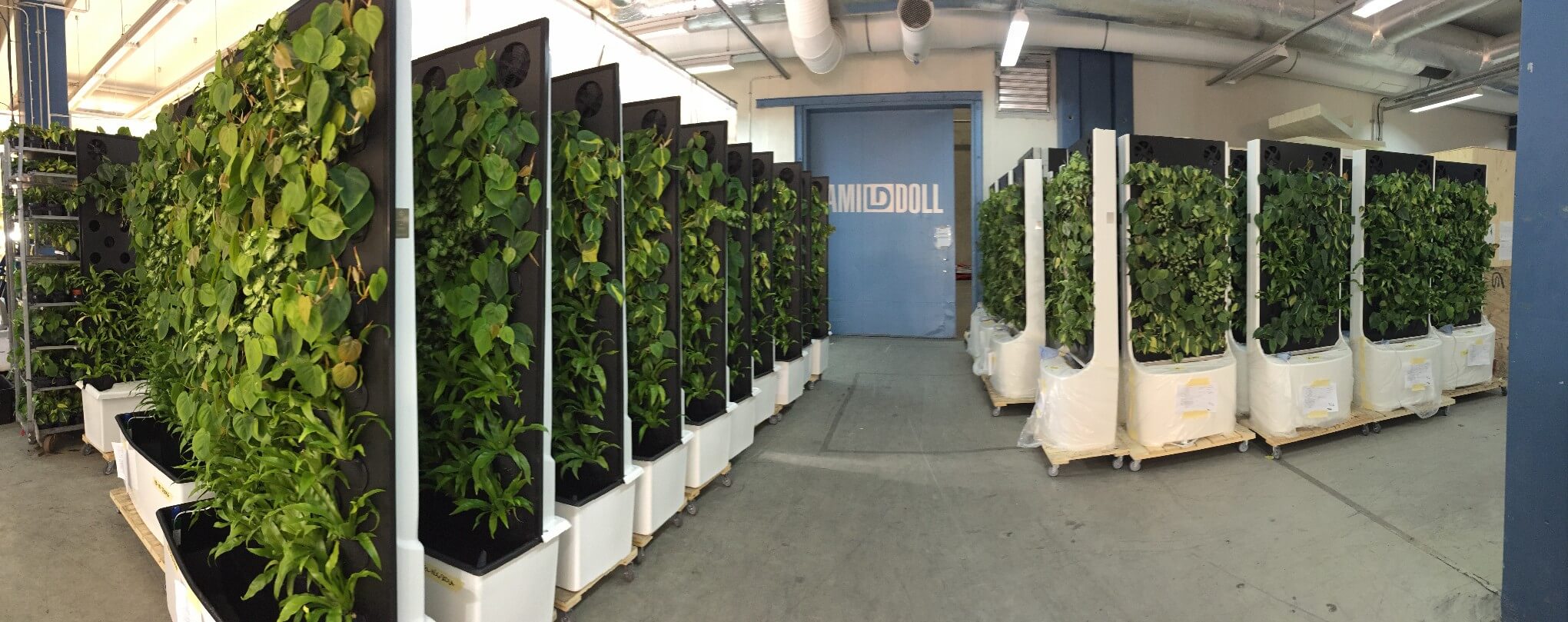 Naava Brings Fresh Indoor Air to Sweden