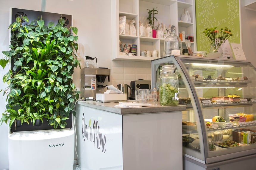 Wellbeing on a plate