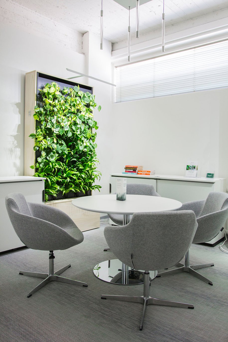 Naava's Office Improves Well-being and Productivity