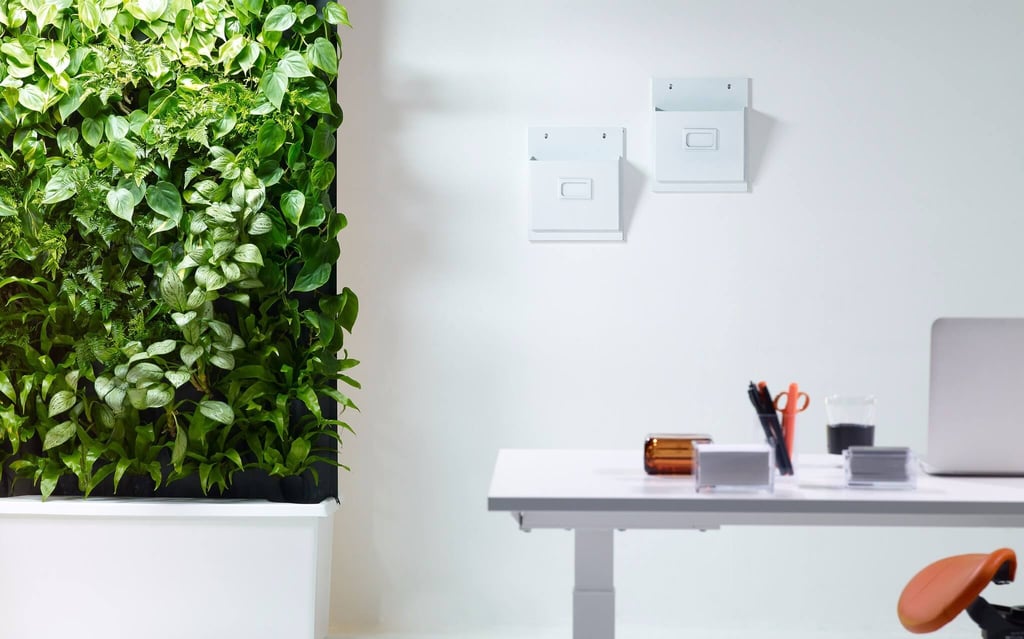 The bringer of Nordic forest air indoors, Naava, was awarded for design