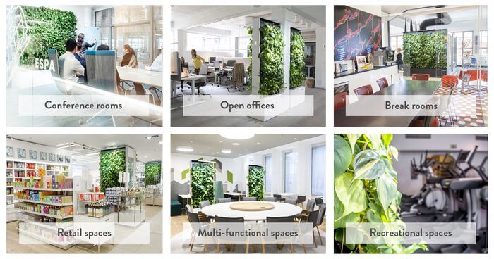 Science-backed Finnish green wall innovation is a quantum step for ...