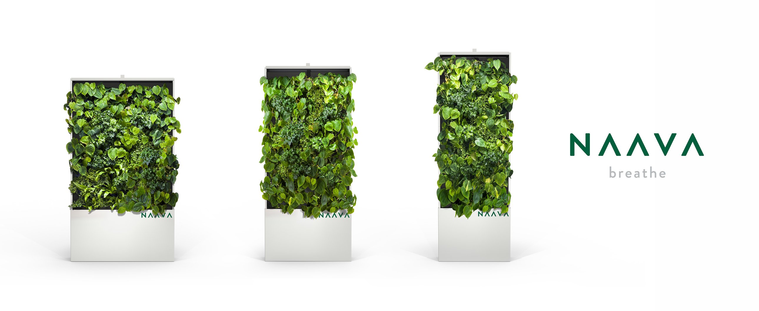 Naava FAQ: 10 x kysymys & vastaus