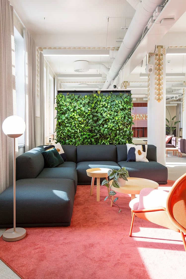 Plant furniture and green wallls | Naava