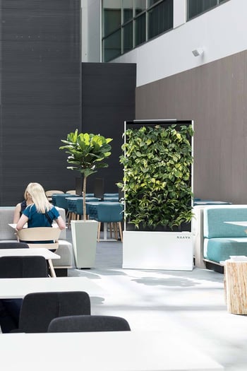 Plant furniture and green wallls | Naava