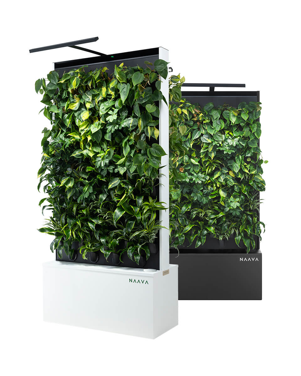 Architects & Designers | Naava