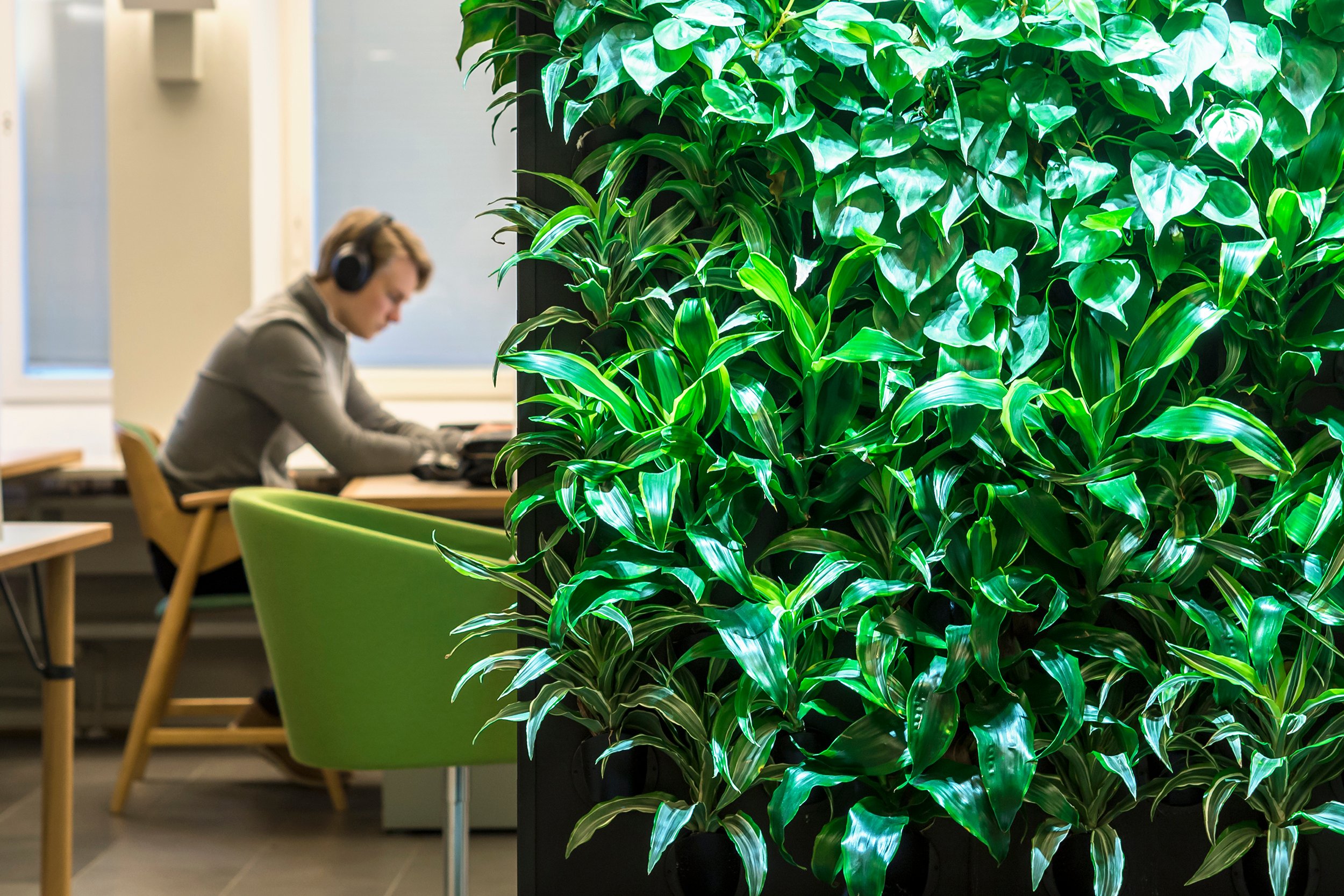 Biophilic Design: Bringing Nature Indoors