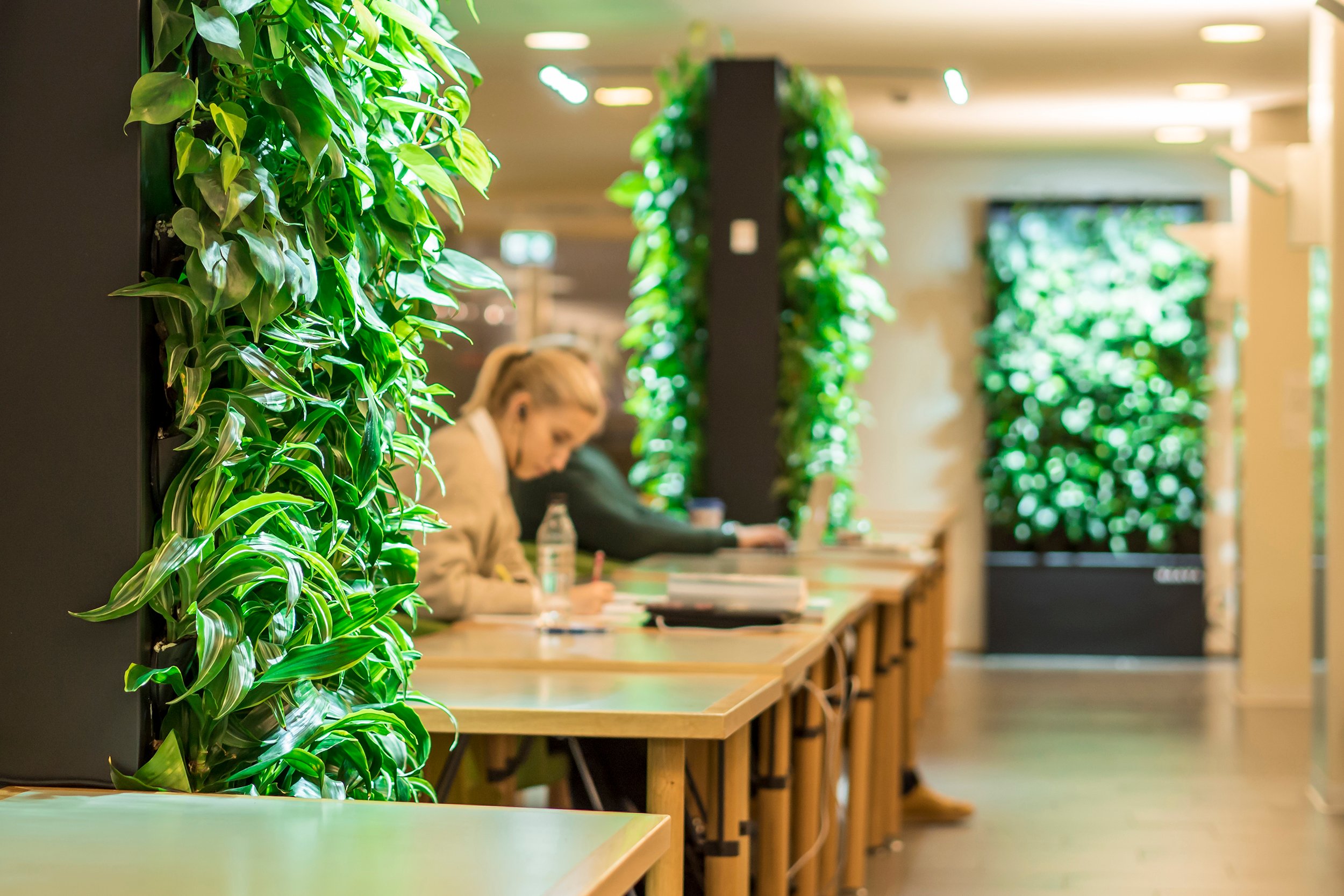 What are Green Walls - the Definition, Benefits, Design, and Greenery