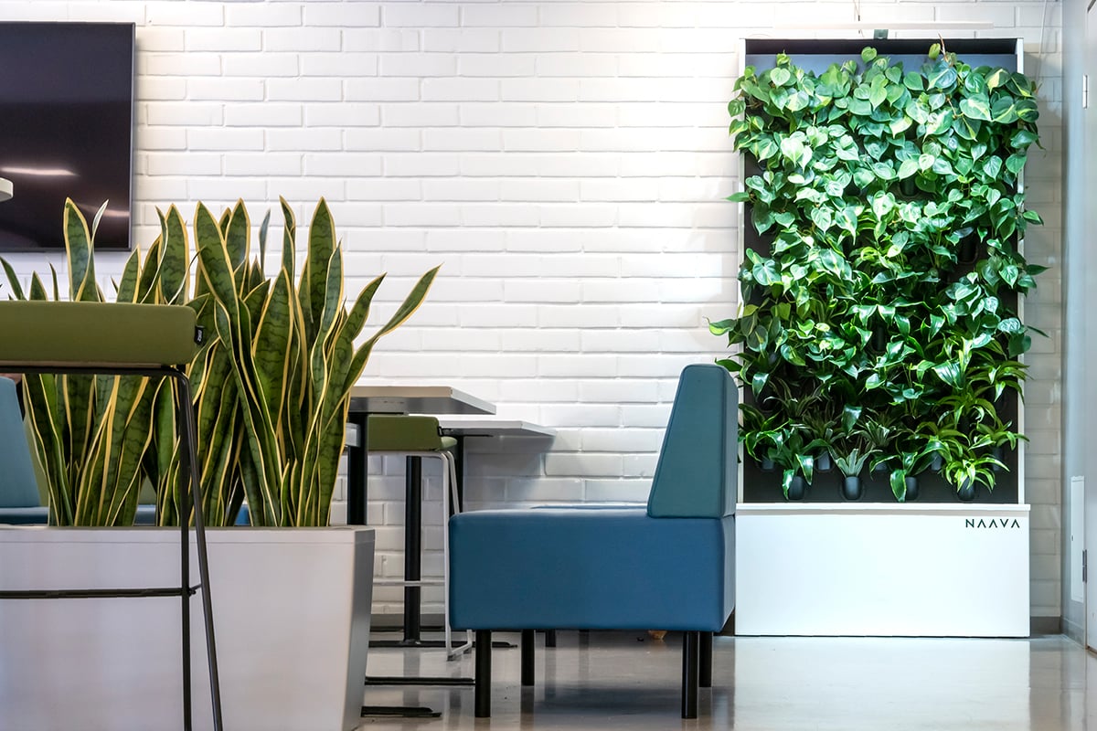 What are Green Walls - the Definition, Benefits, Design, and Greenery