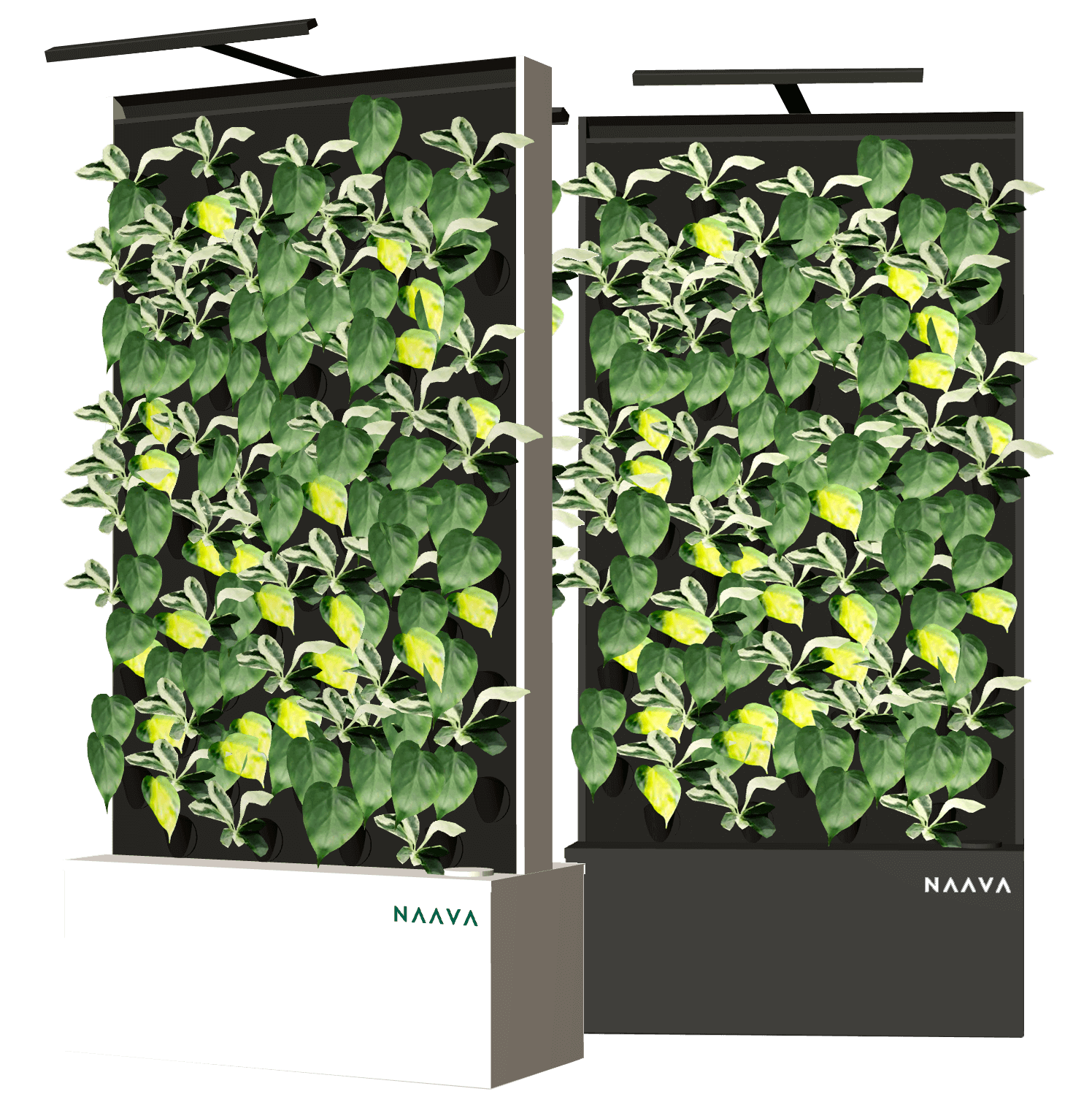 Architects & Designers | Naava