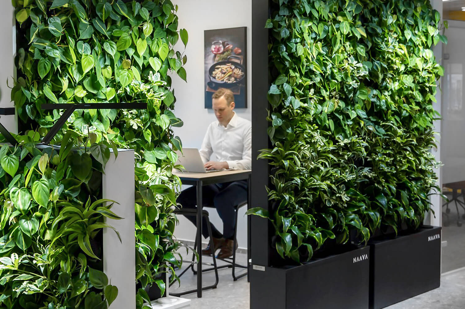 Naava granted Best Green Wall Provider 2021 and Sustainability ...