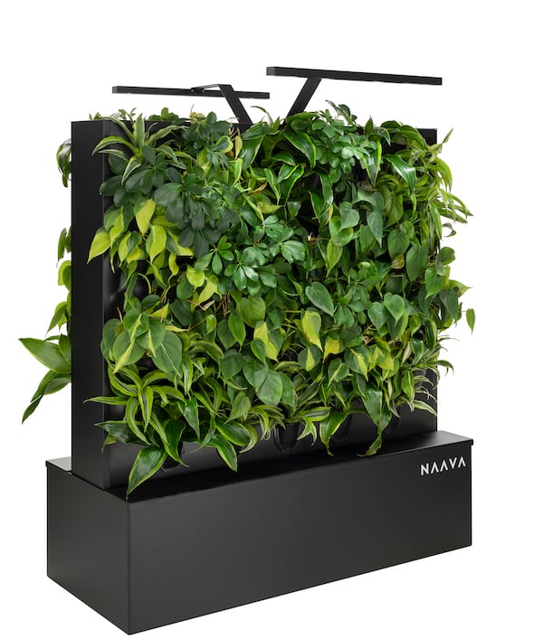 Naava’s new product helps reach the flow state at work