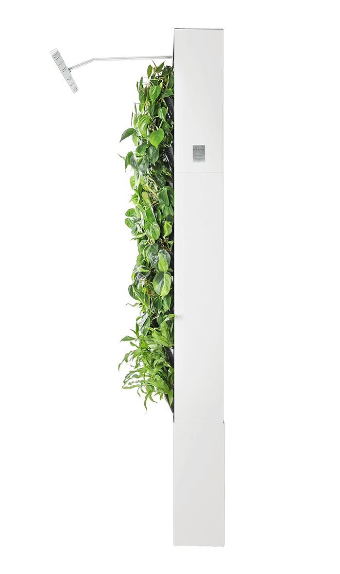 Arkkitehdit & Suunnittelijat